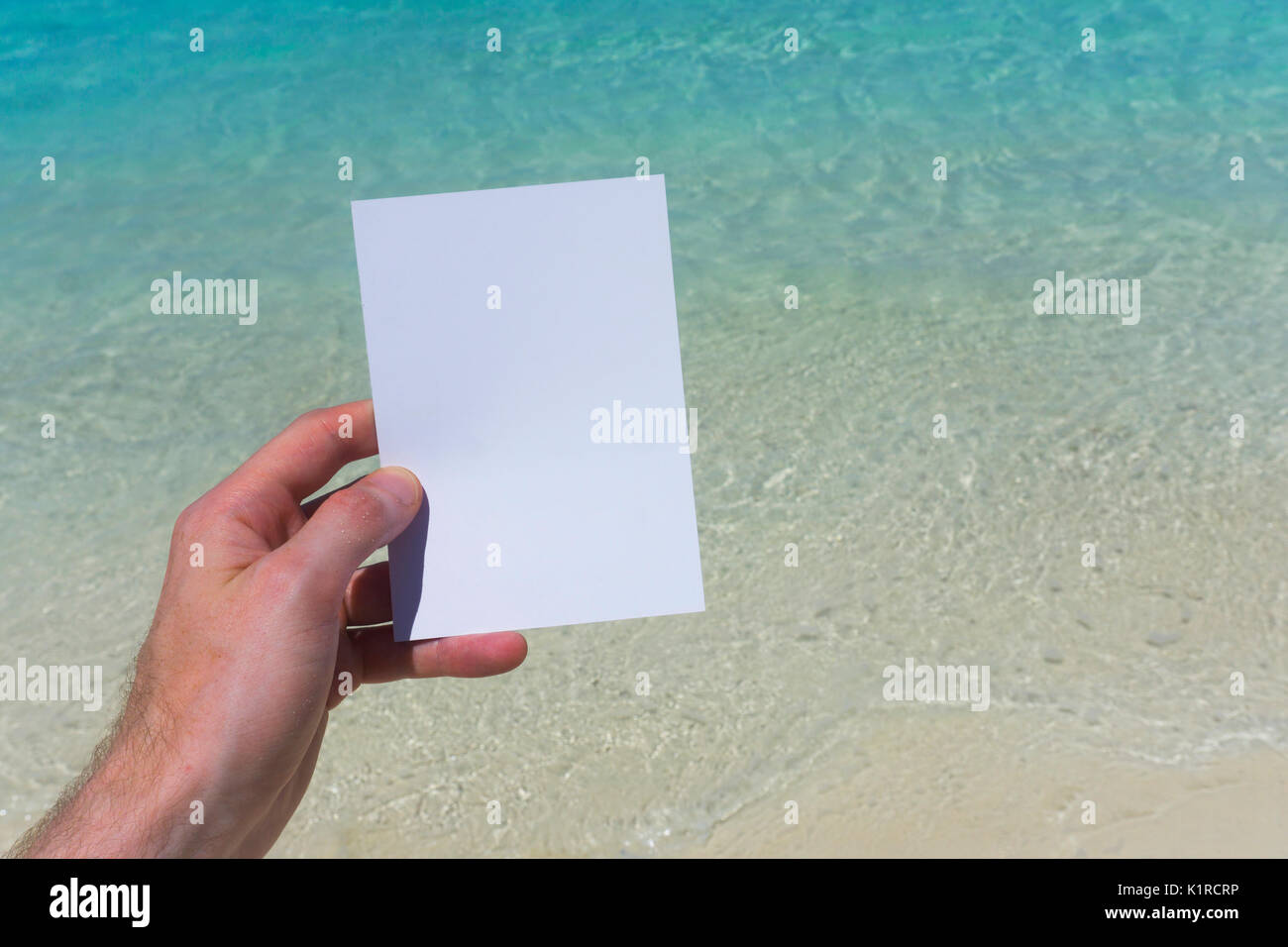 Hand holding blank white sign on a tropical summer beach Stock Photo ...