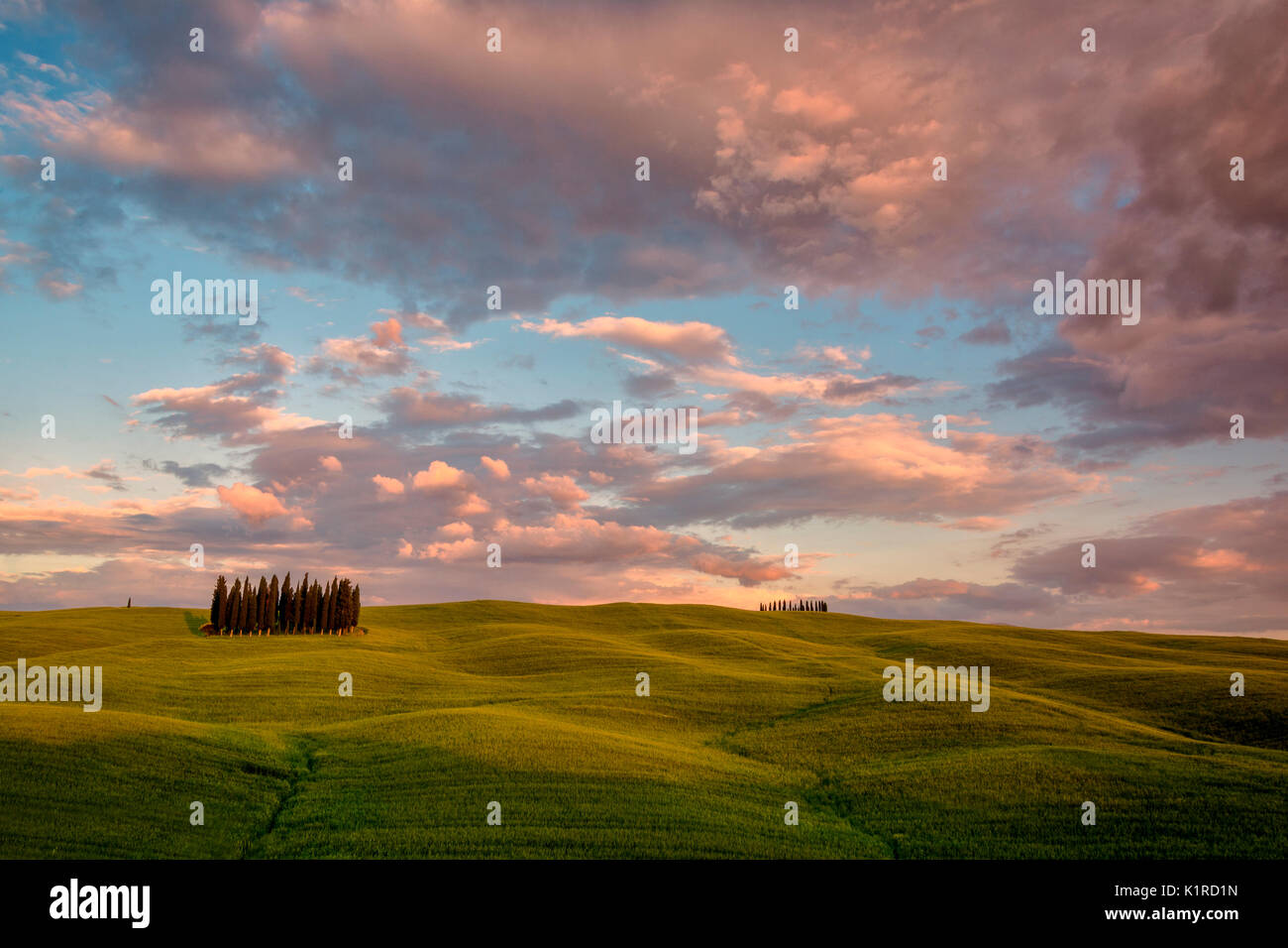 Val d'orcia tuscan sunset hi-res stock photography and images - Alamy