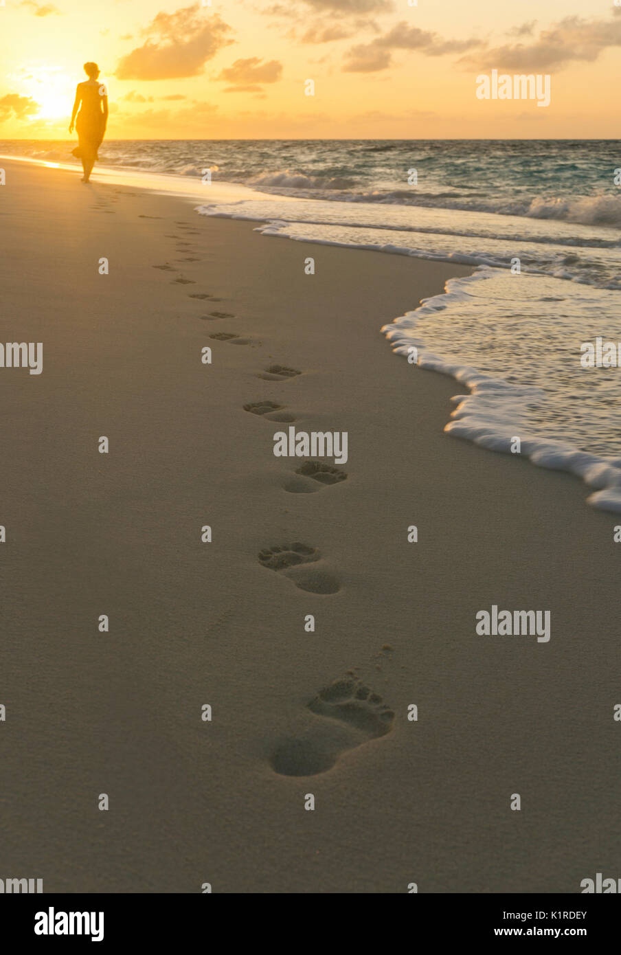 Footprints in the sand on a tropical beach Stock Photo - Alamy