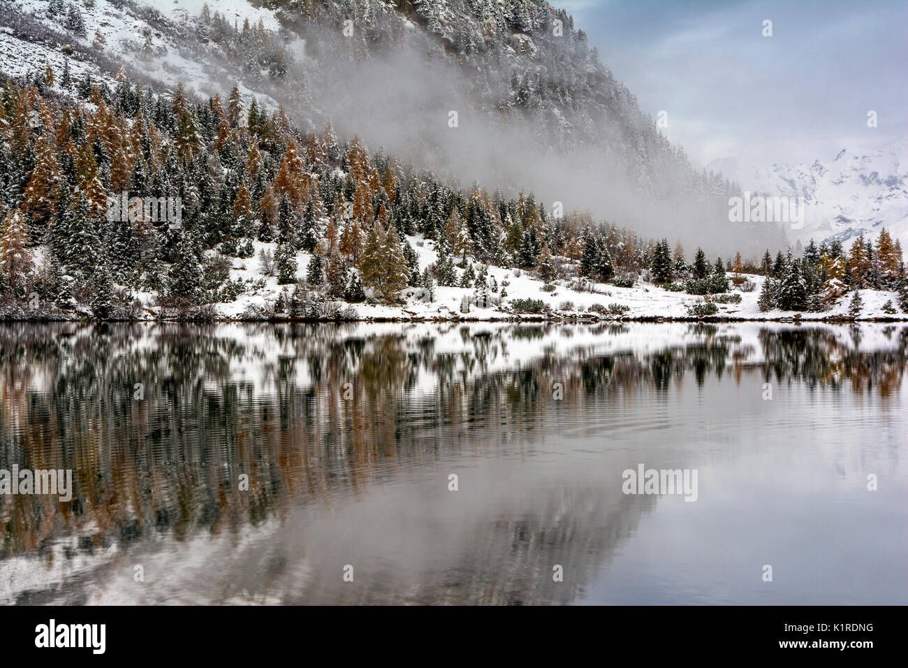 Details of the lake, Aviolo lake. Adamello Park, province of Brescia ...