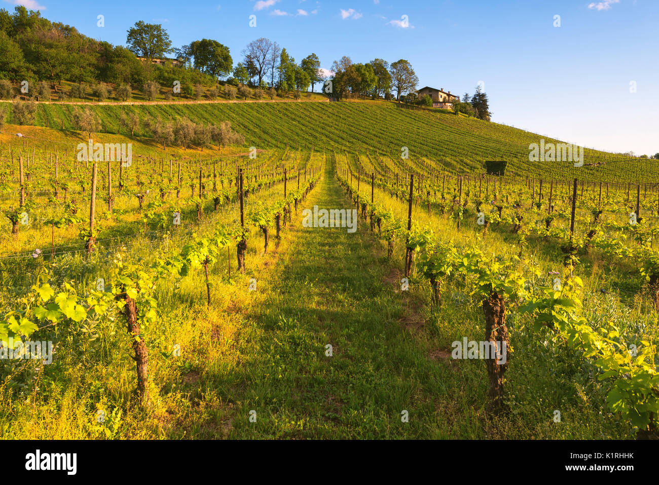 Franciacorta wine hills hi-res stock photography and images - Alamy