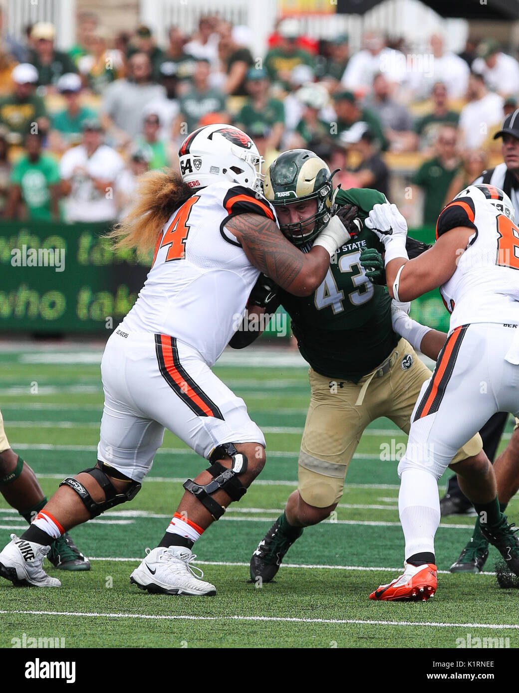 Fred collins hi-res stock photography and images - Alamy