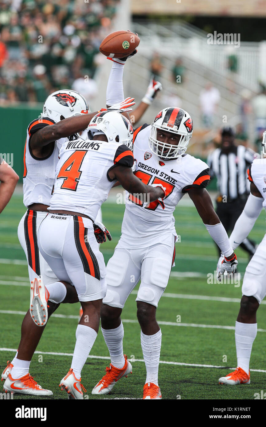 Kyle white hi-res stock photography and images - Alamy