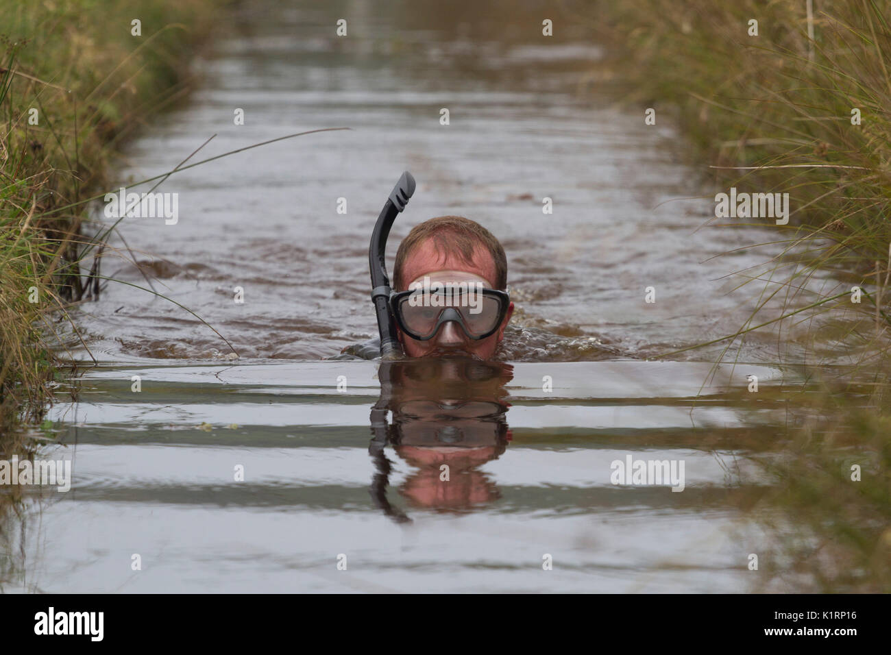 Bog snorkelling hi-res stock photography and images - Alamy