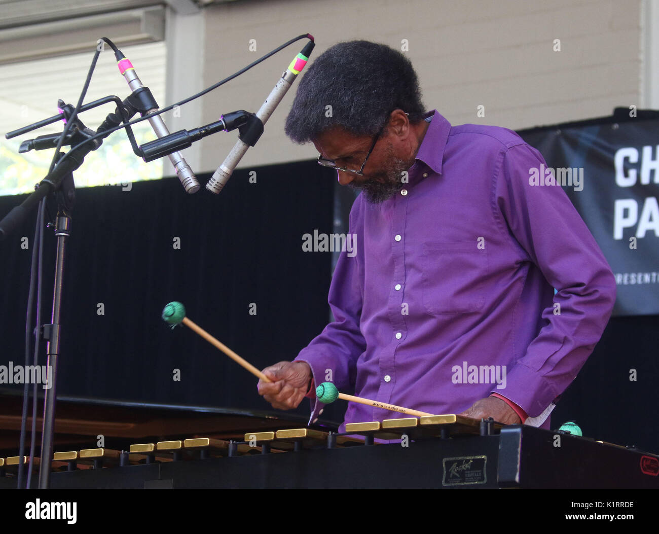 New York, New York, USA. 26th Aug, 2017. Jazz vibraphonist STEVE NELSON ...