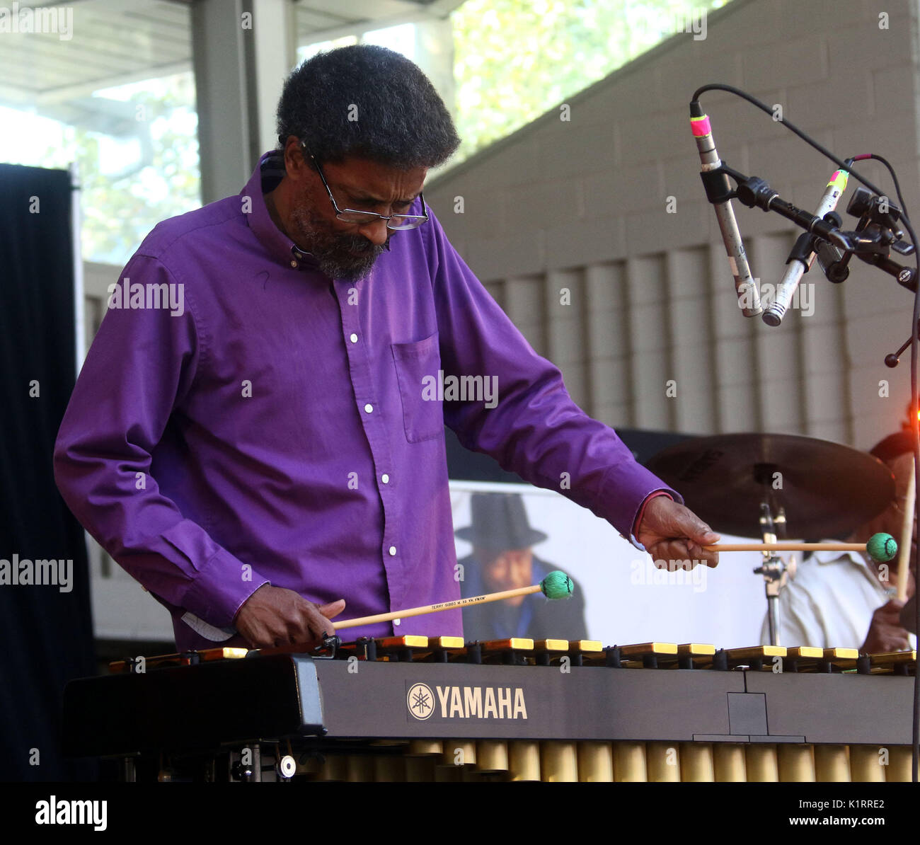 New York, New York, USA. 26th Aug, 2017. Jazz vibraphonist STEVE NELSON ...