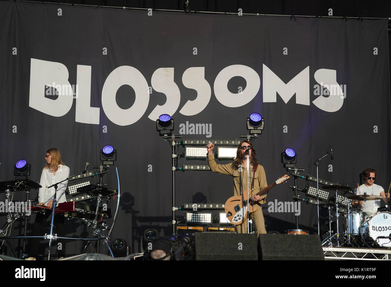 Blossoms Band Stock Photos & Blossoms Band Stock Images - Alamy