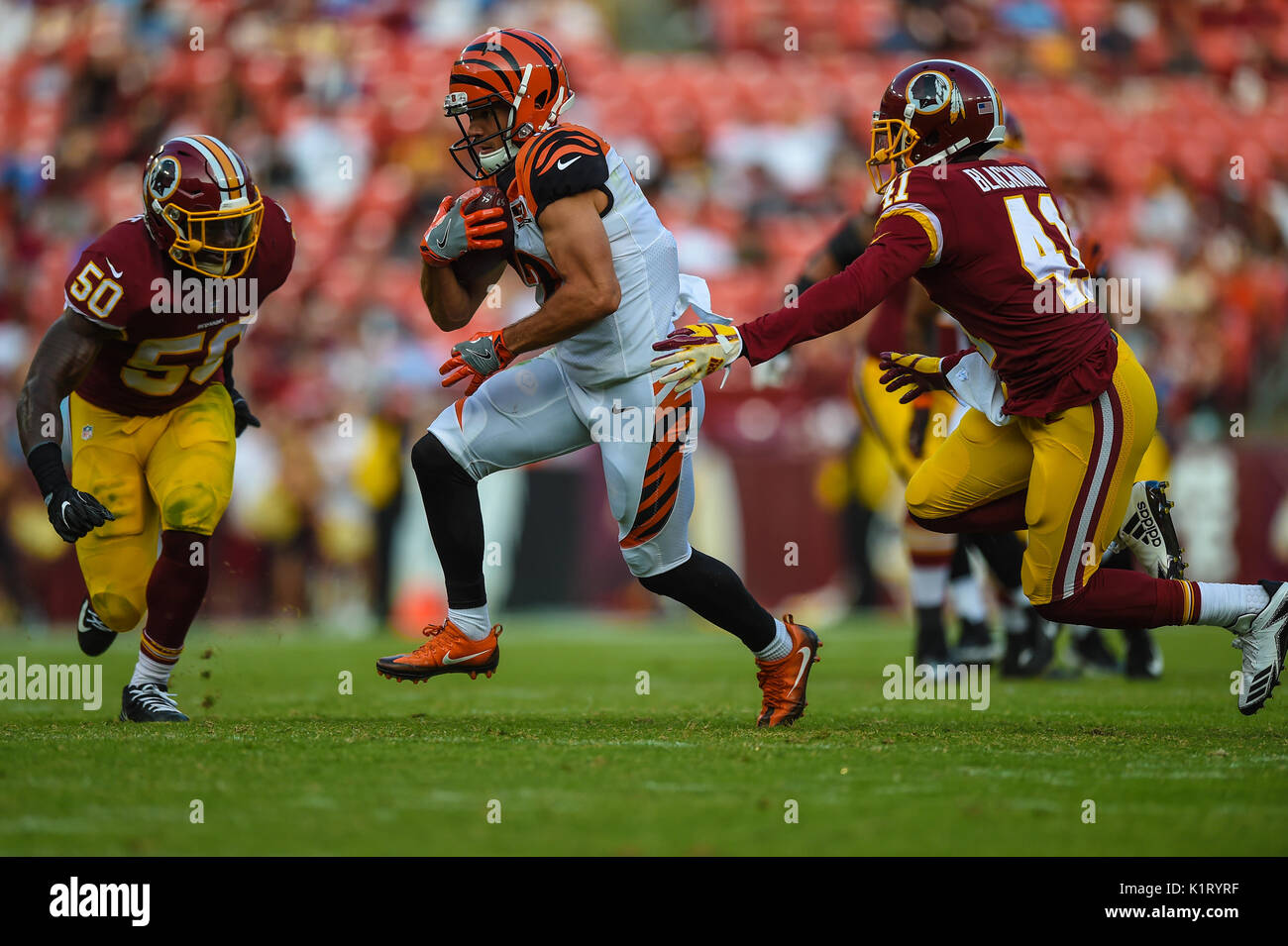 Will blackmon hi-res stock photography and images - Alamy