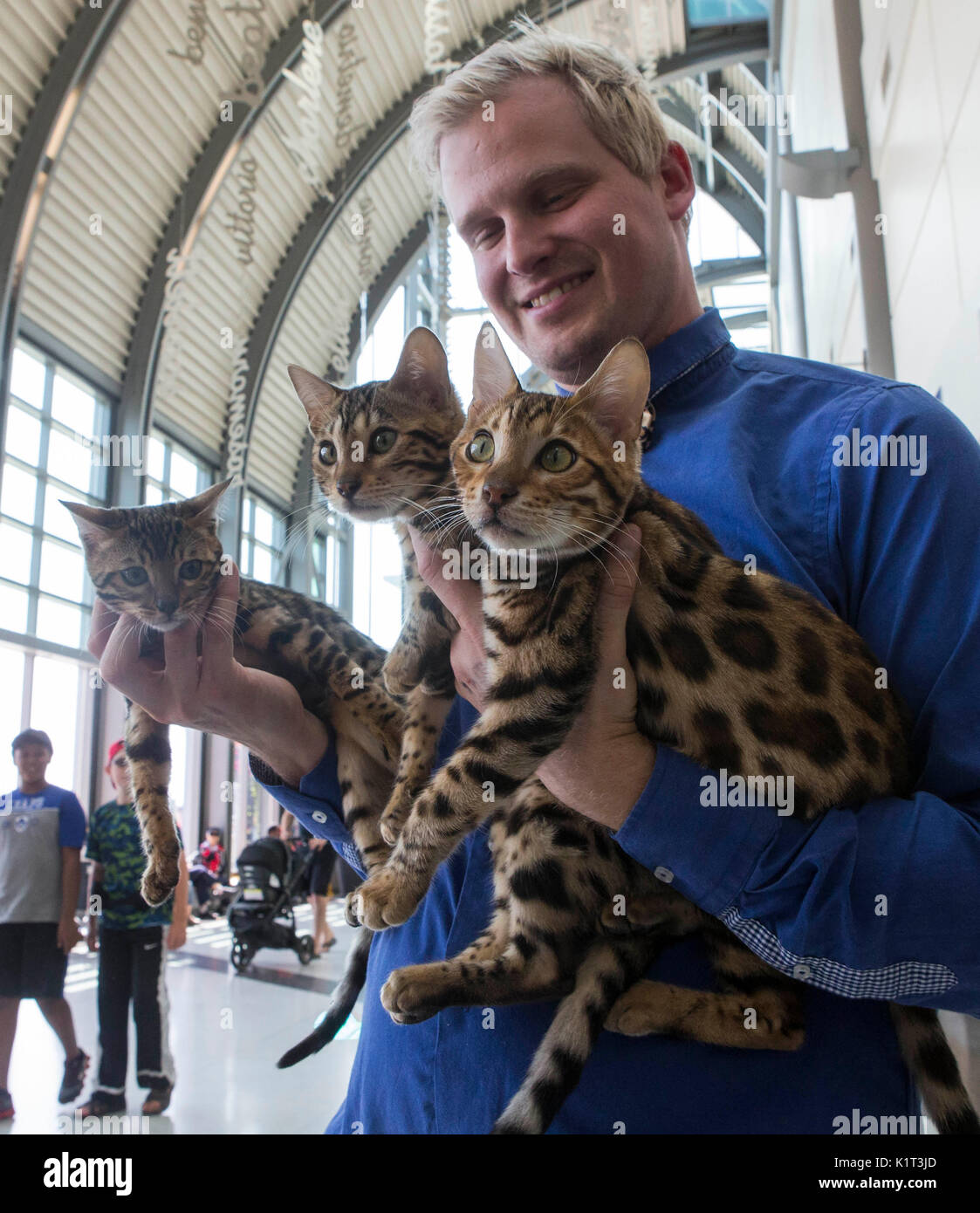 National committee of the national exhibition hi-res stock photography ...
