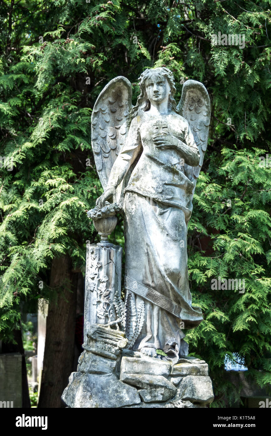 Angel Poland Stock Photos & Angel Poland Stock Images - Alamy