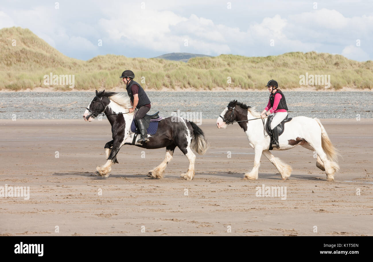Ponies being ridden hi-res stock photography and images - Alamy