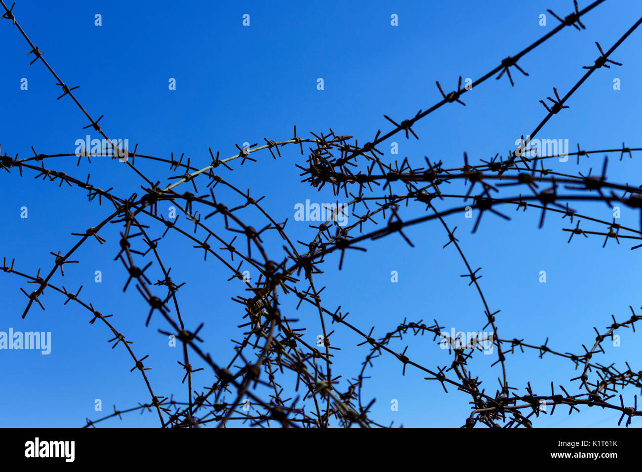 Curved wire hi-res stock photography and images - Alamy