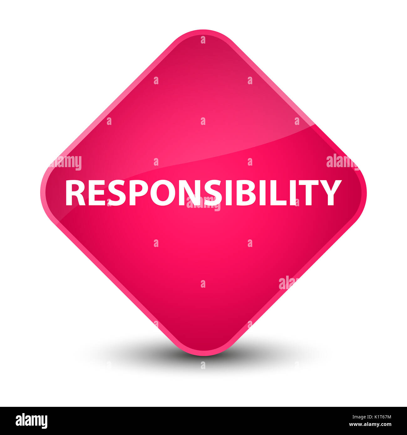 Responsibility isolated on elegant pink diamond button abstract ...
