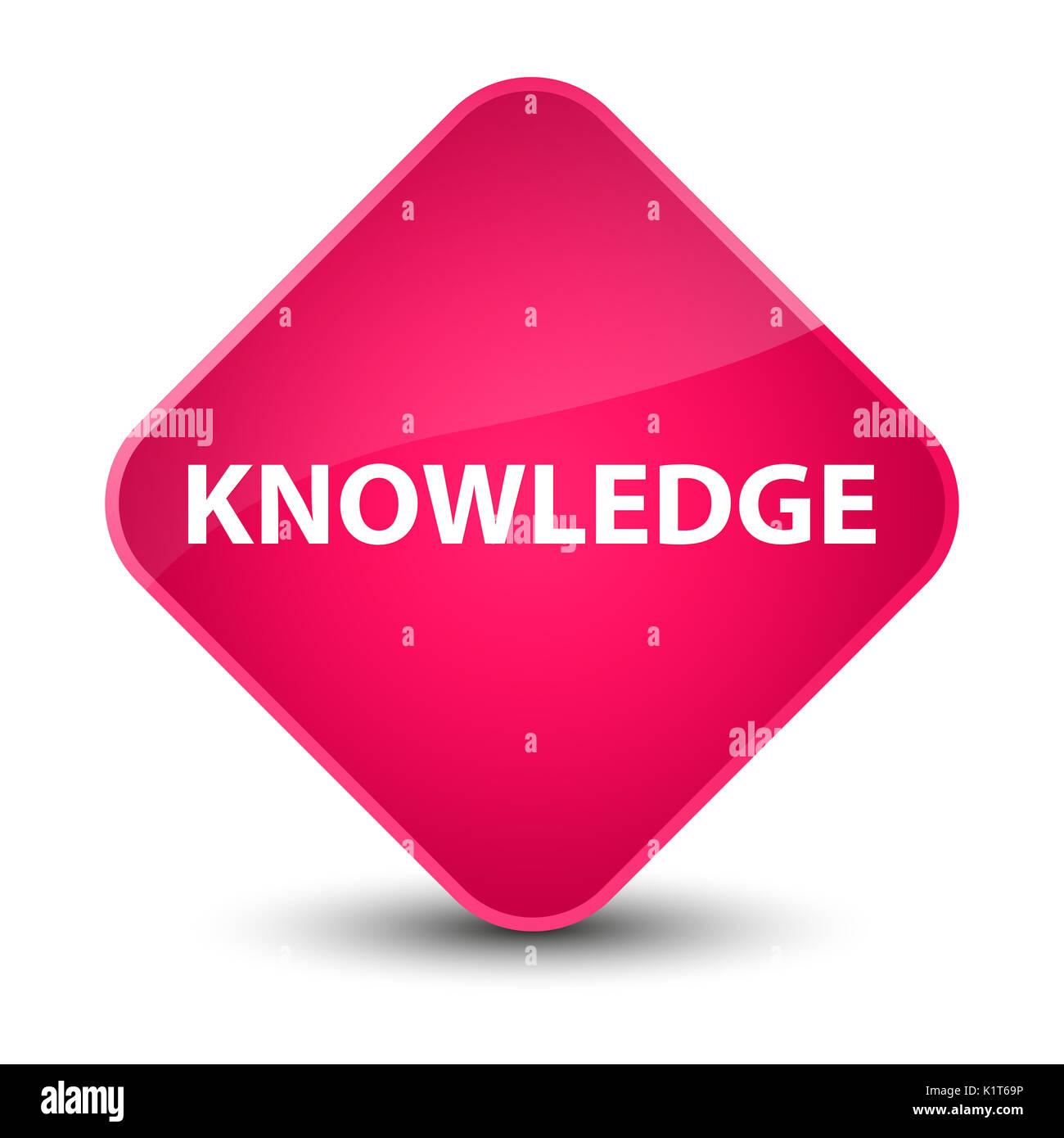 Knowledge isolated on elegant pink diamond button abstract illustration ...