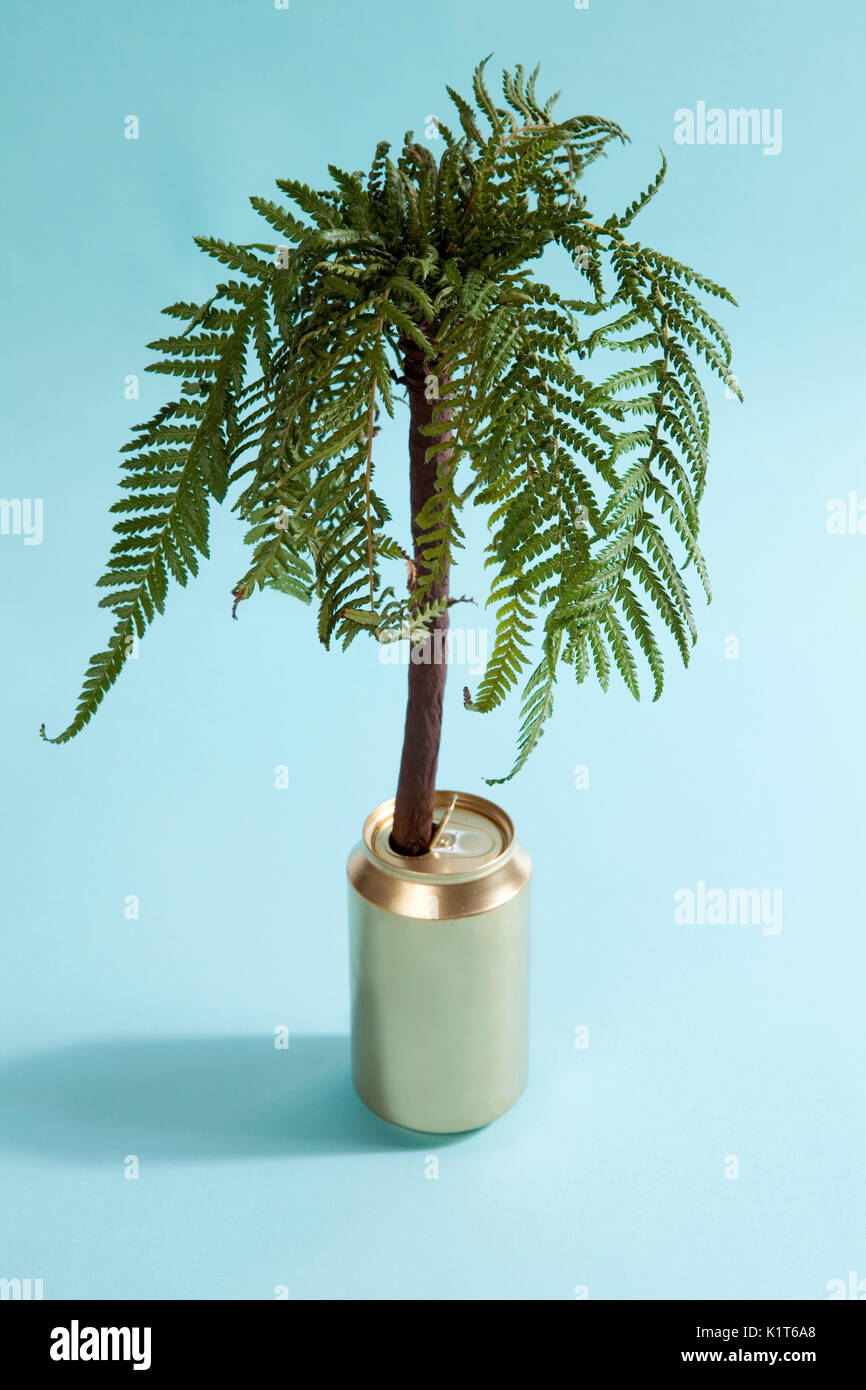 A palm tree growing in a golden can. Minimal and funny color still life ...