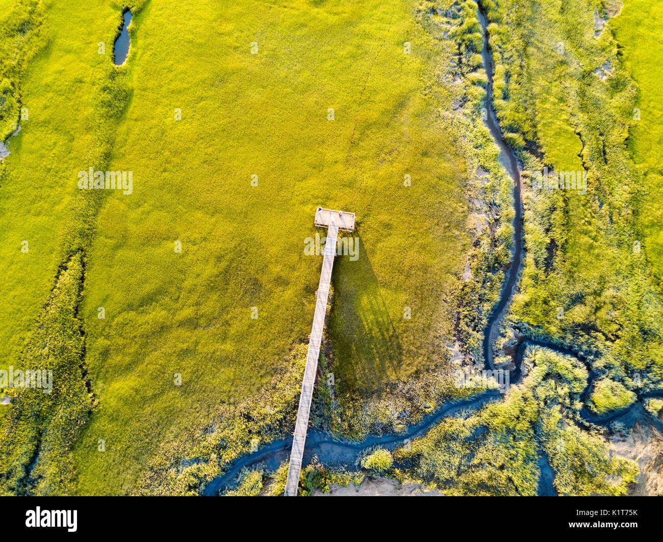Swamp aerial hi-res stock photography and images - Alamy