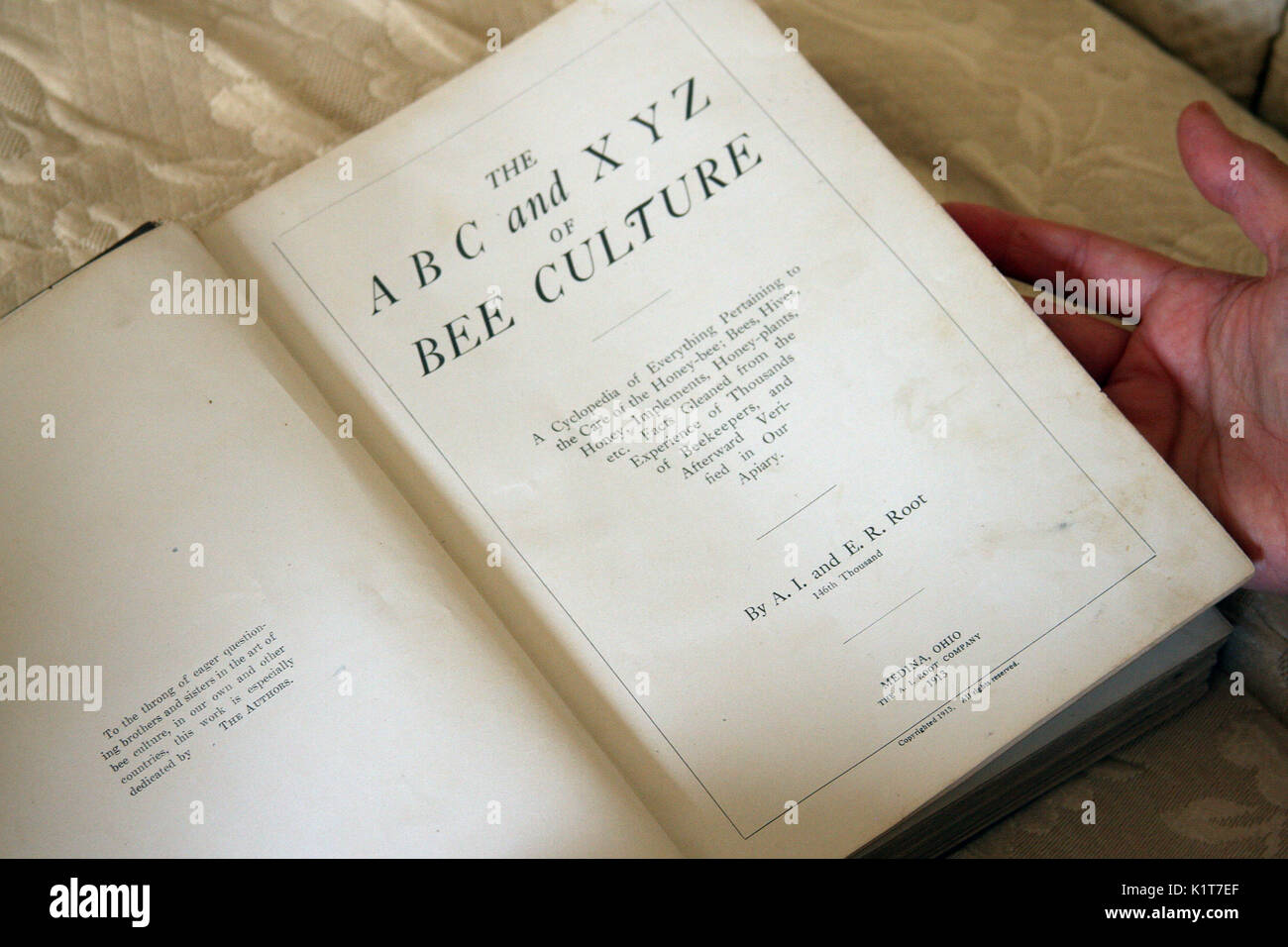 The book hive hi-res stock photography and images - Alamy