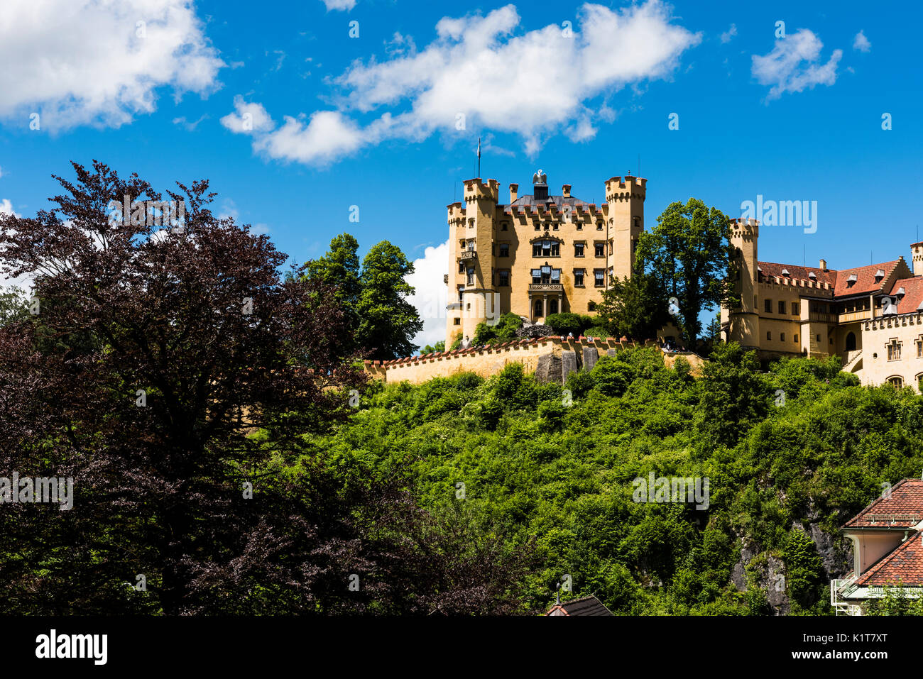 Palace of king ludwig ii hi-res stock photography and images - Alamy