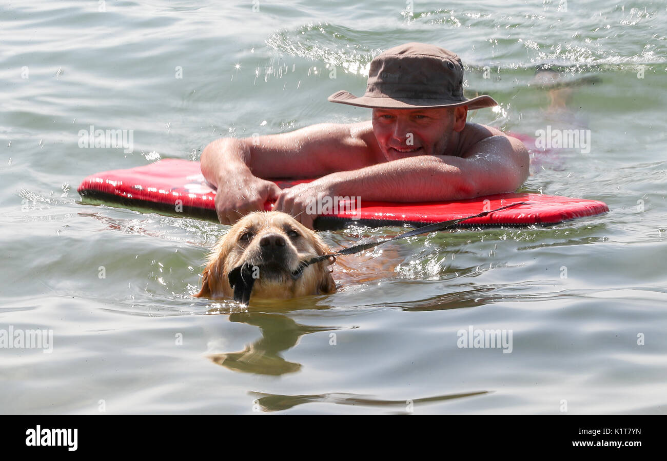 Tony Jamieson from Leeds swims with his golden retreiver Marley at ...