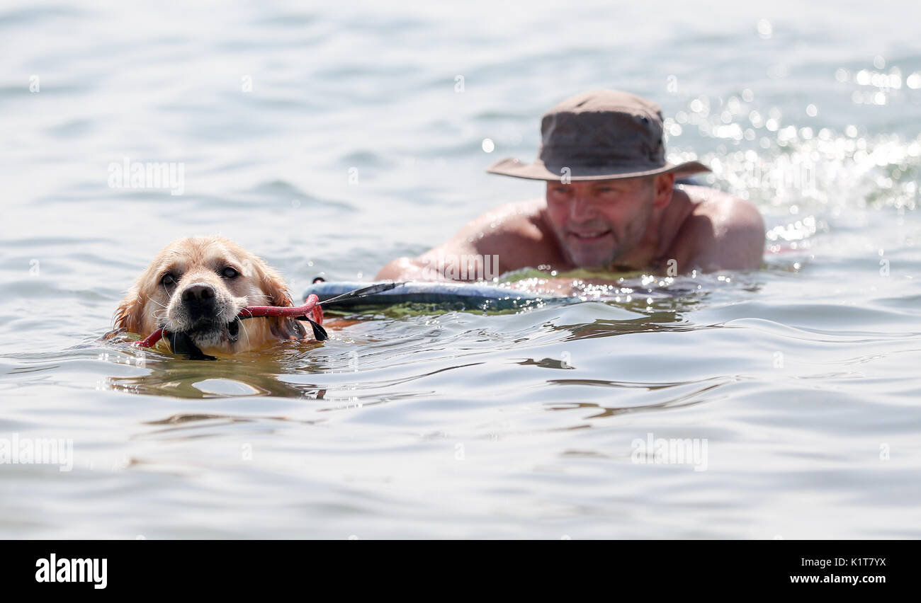 Tony Jamieson from Leeds swims with his golden retreiver Marley at ...