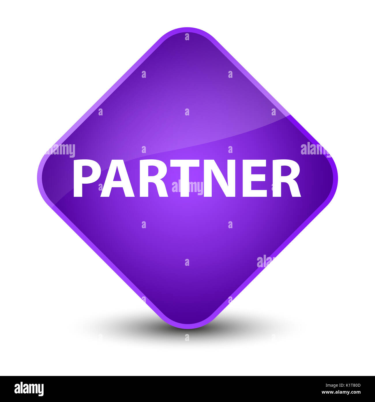 Partner isolated on elegant purple diamond button abstract illustration ...