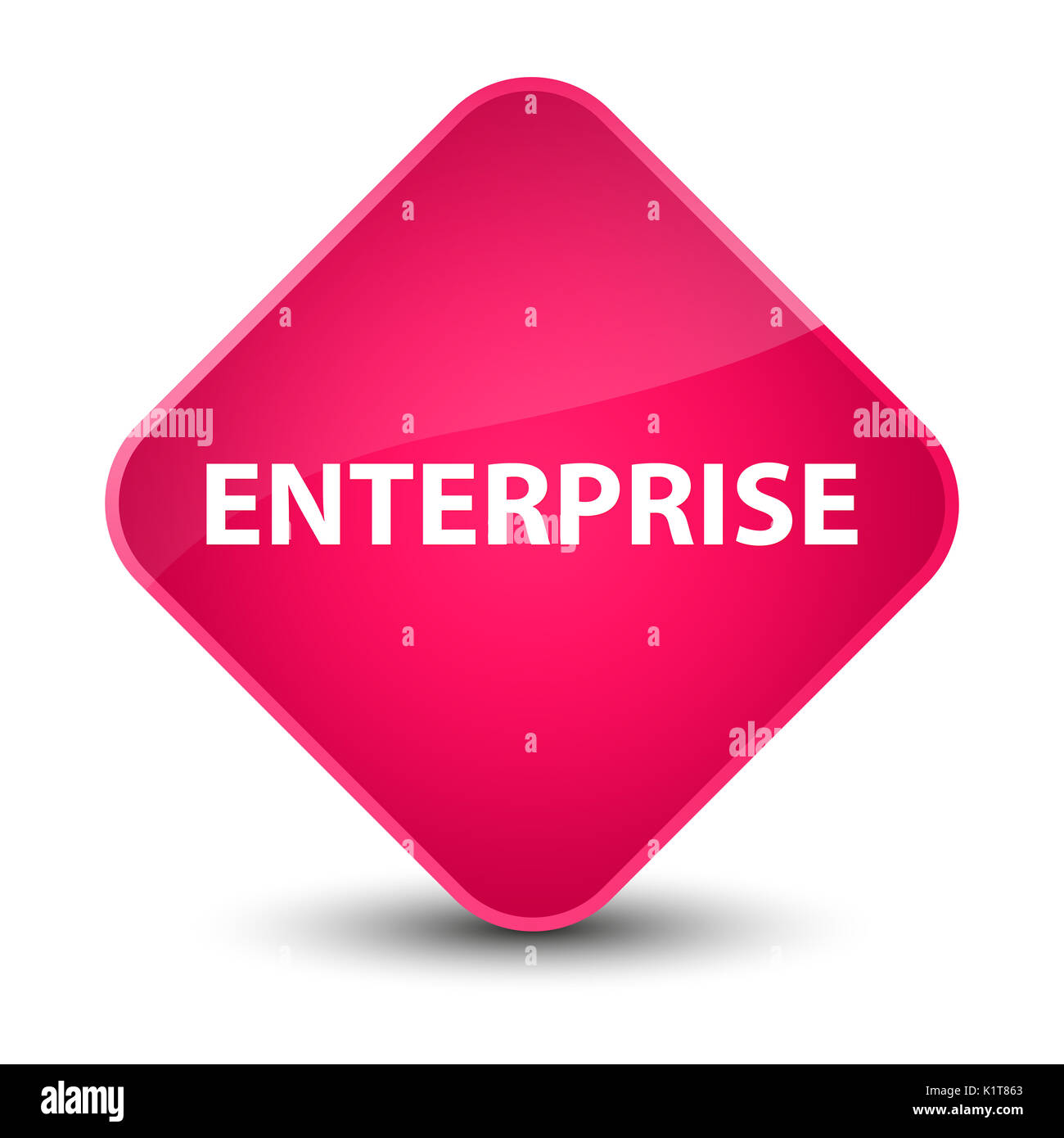 Enterprise isolated on elegant pink diamond button abstract ...