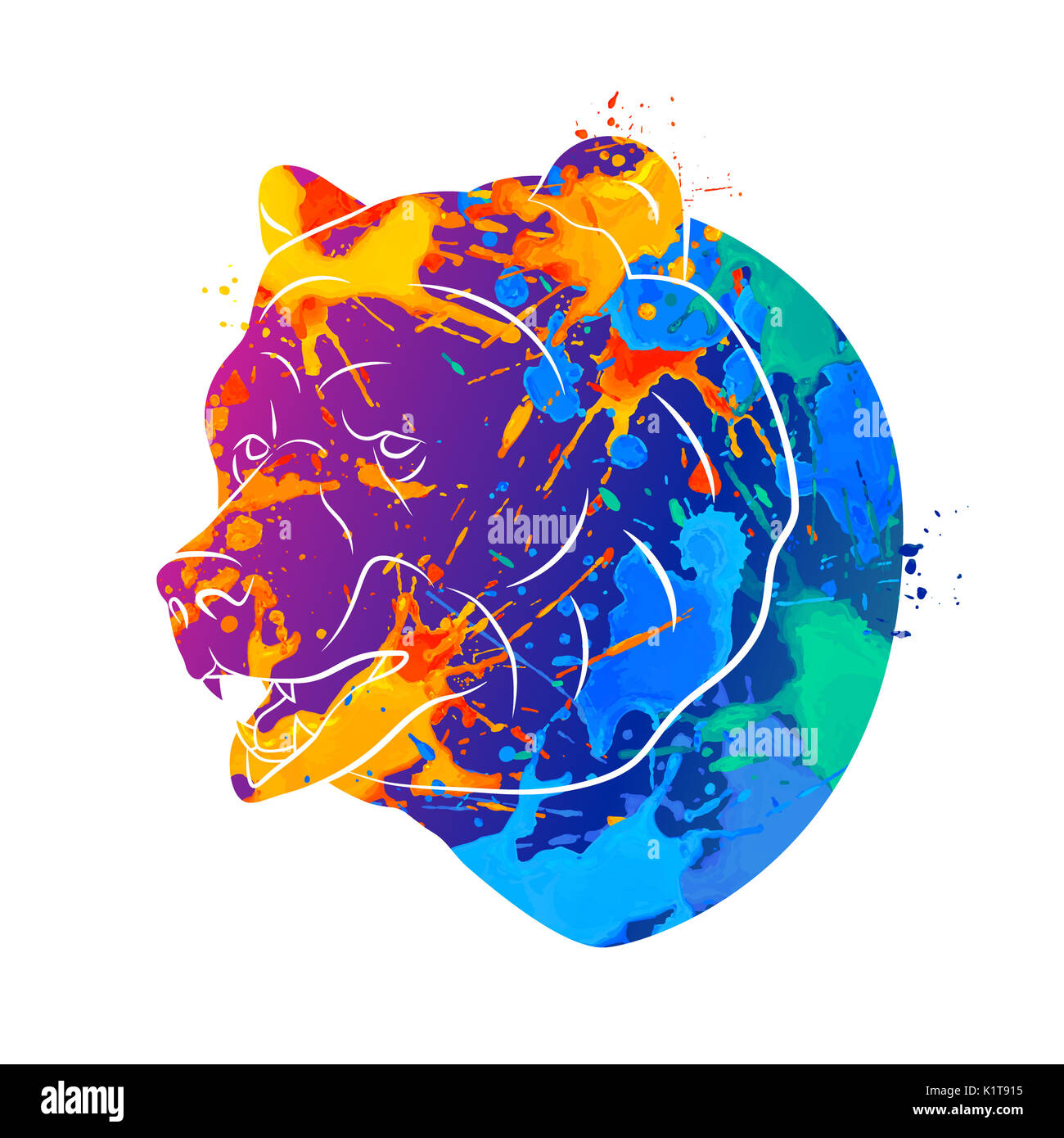 Grizzly bear illustration Cut Out Stock Images & Pictures - Alamy