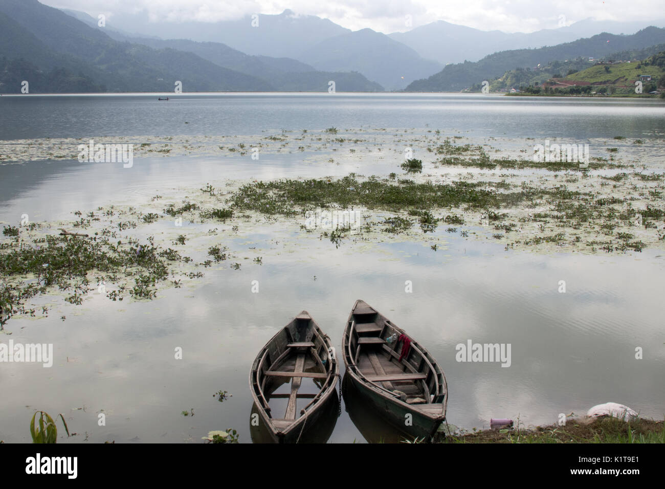 Phewa Lake, Phewa Tal or Fewa Lake in Pokhara, Nepal Stock Photo - Alamy