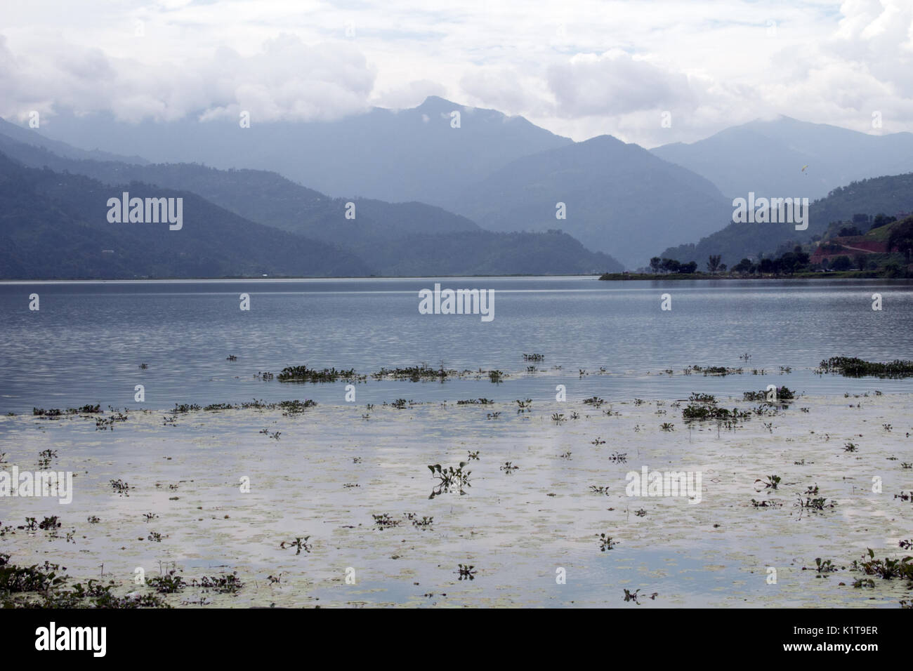 Phewa Lake, Phewa Tal or Fewa Lake in Pokhara, Nepal Stock Photo - Alamy