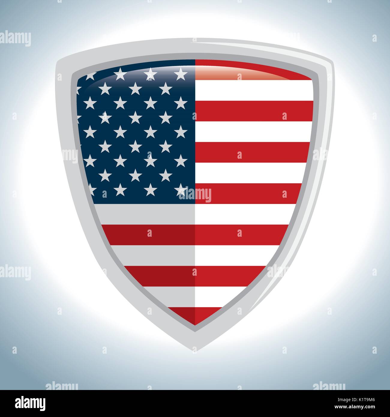 Flag of United States of America theme Vector illustration Stock Vector ...