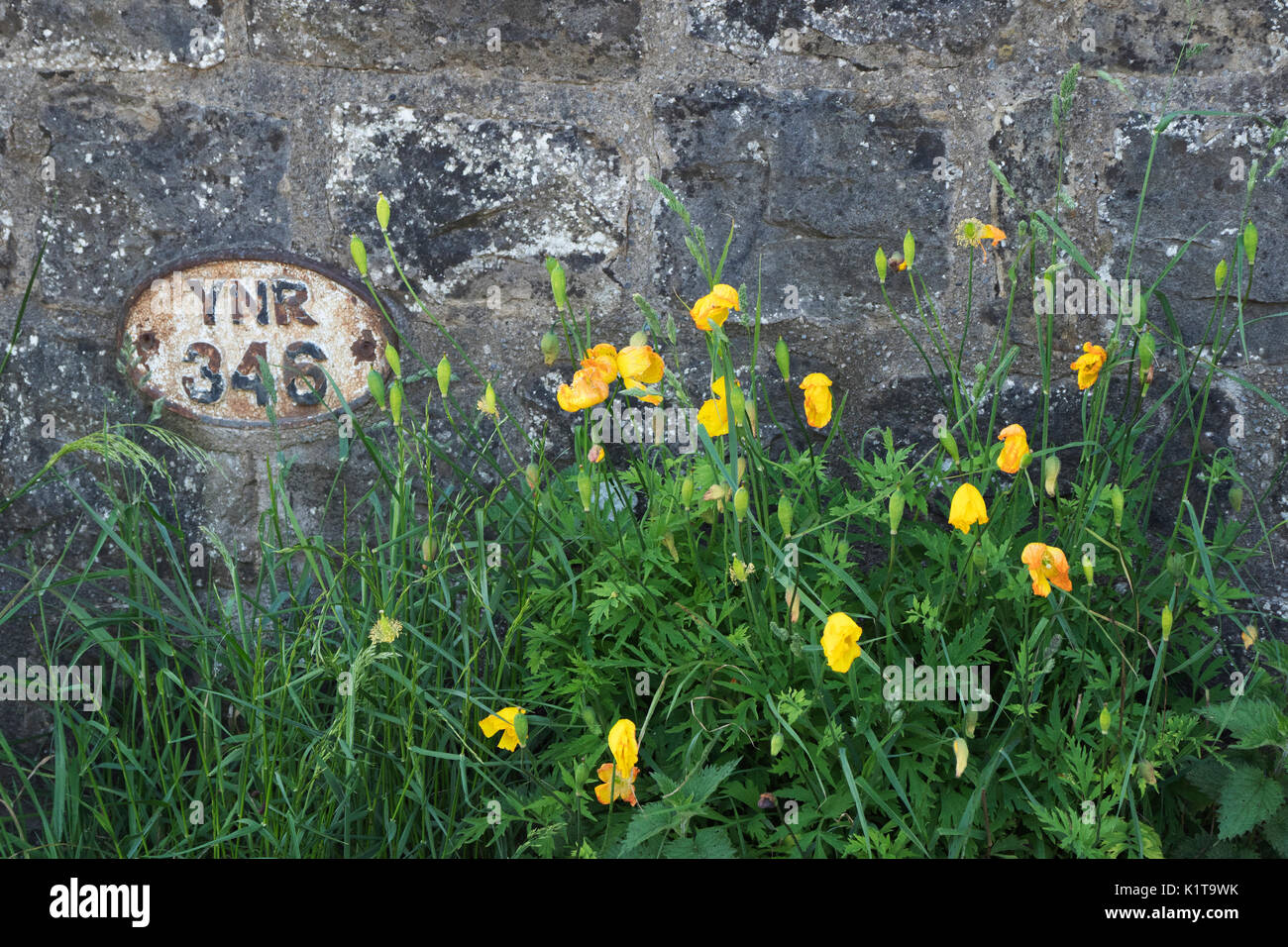 Plaque on north bridge hi-res stock photography and images - Alamy