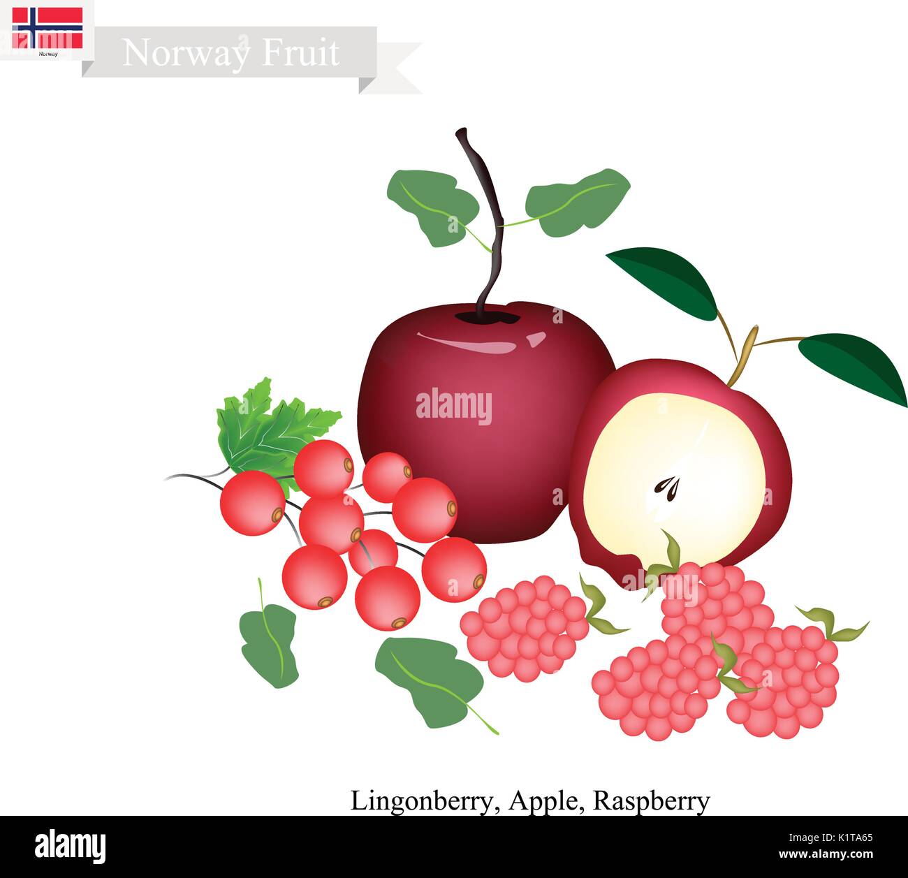 Norwegian Fruit, Illustration of Fresh Ripe Lingonberry, Apple and ...