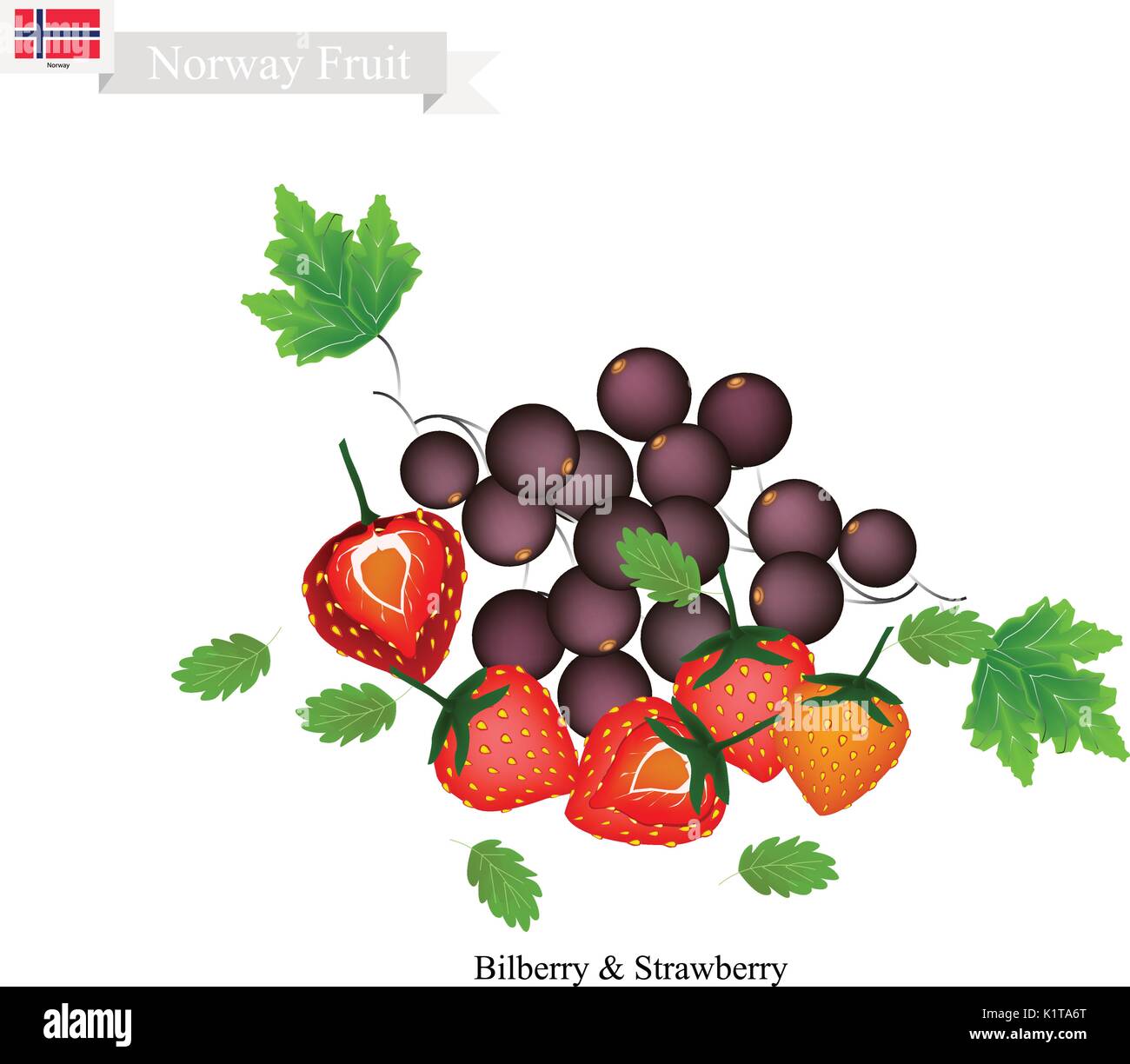 Norwegian Fruit, Illustration of Fresh Bilberry and Strawberry. The ...