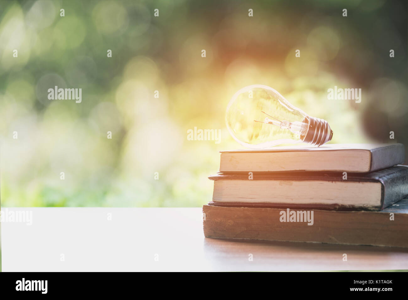 Book lightbulb symbol hi-res stock photography and images - Alamy