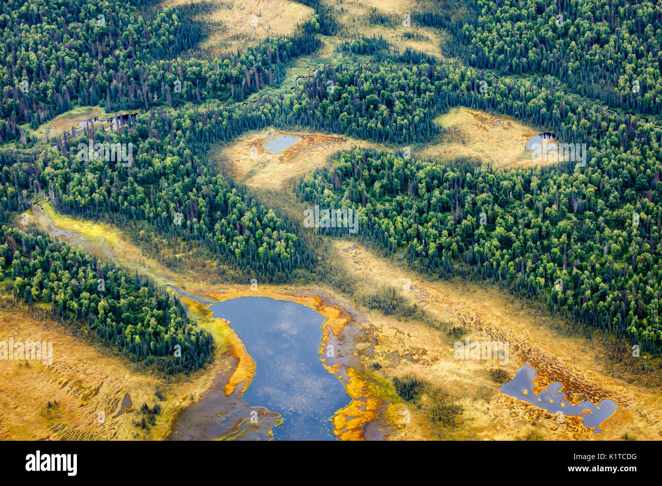 Taiga forest landscape aerial hi-res stock photography and images - Alamy
