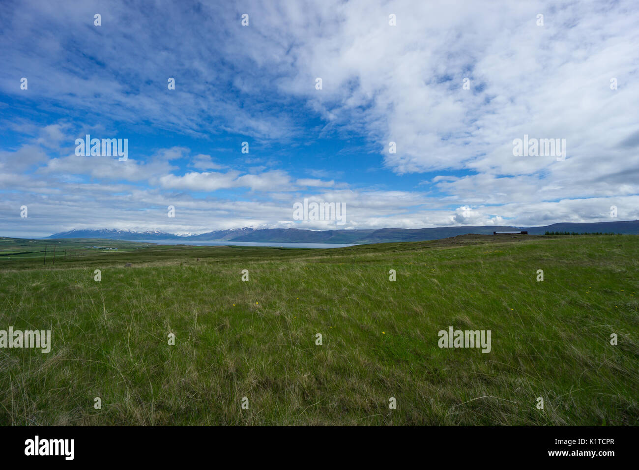 Iceland - Wide green open range with fjord before snowy mountains at ...