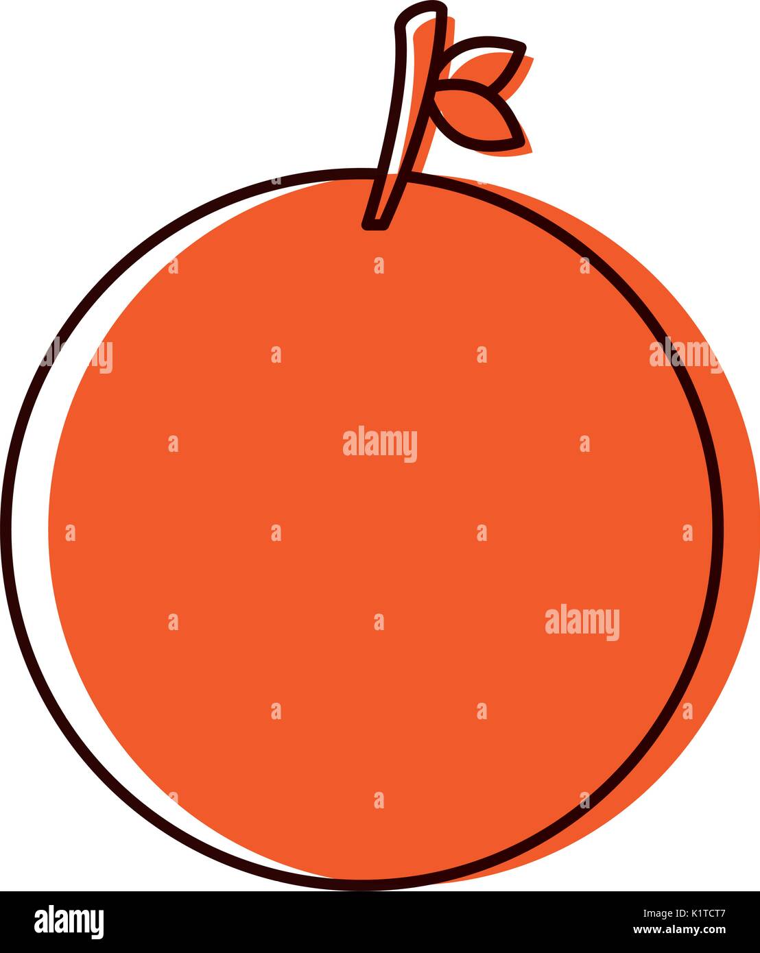 orange citrus fruit icon Stock Vector Image & Art - Alamy