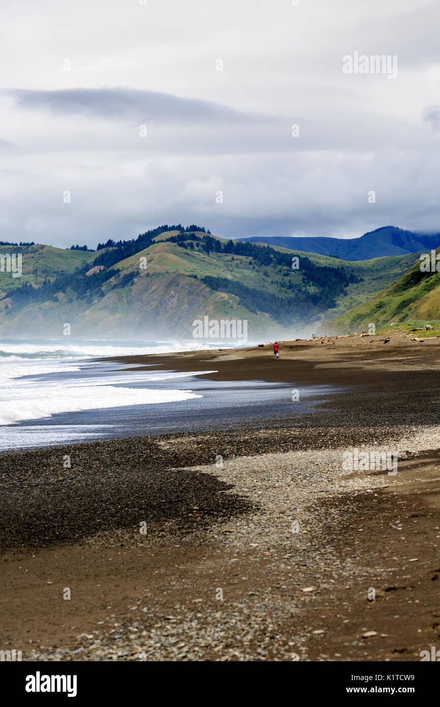 Lost Coast scenery exquisitely shows the oceans, beach, hills and ...