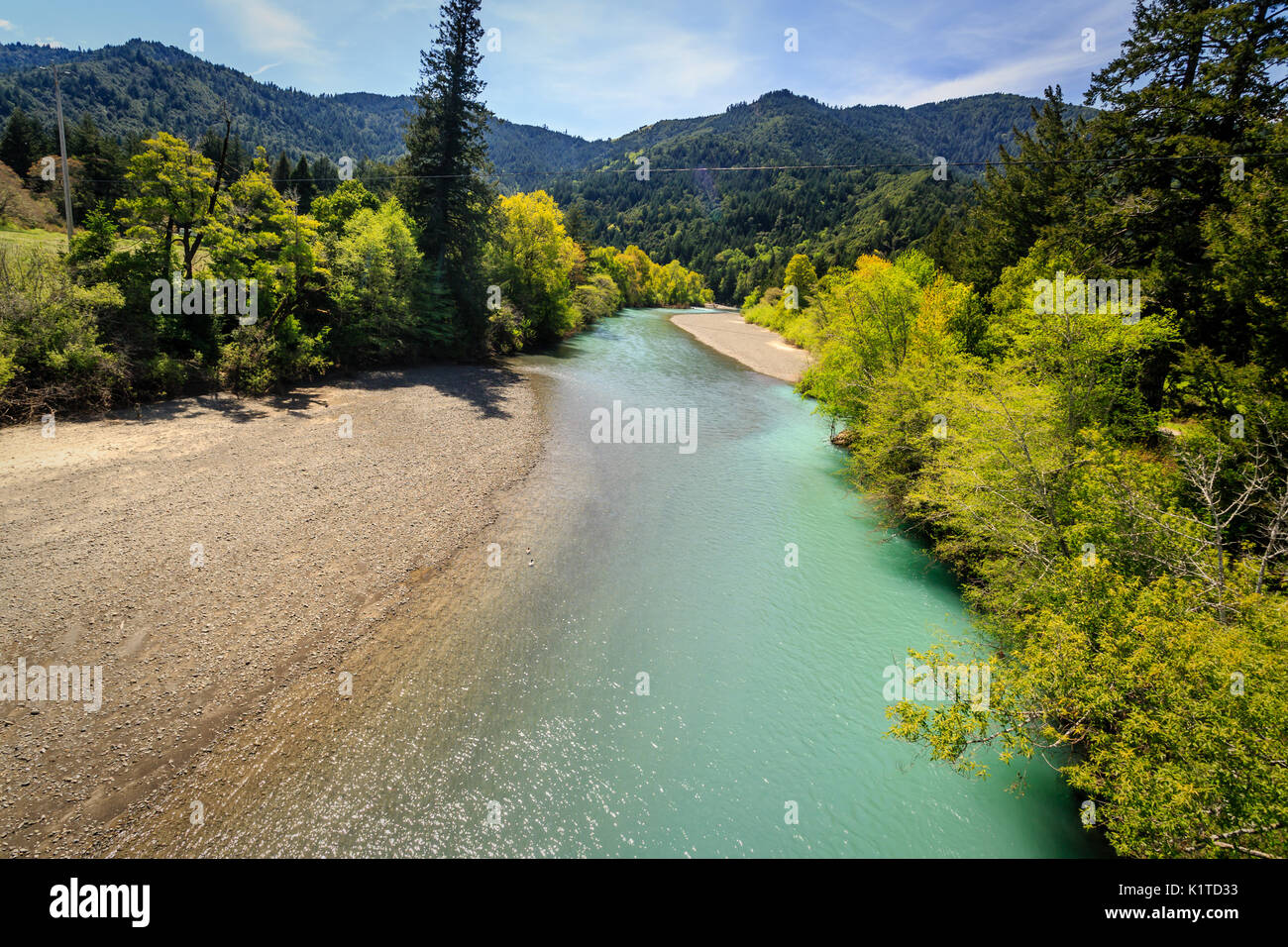 Mattole River flows along at the edge of the forest with pretty ...