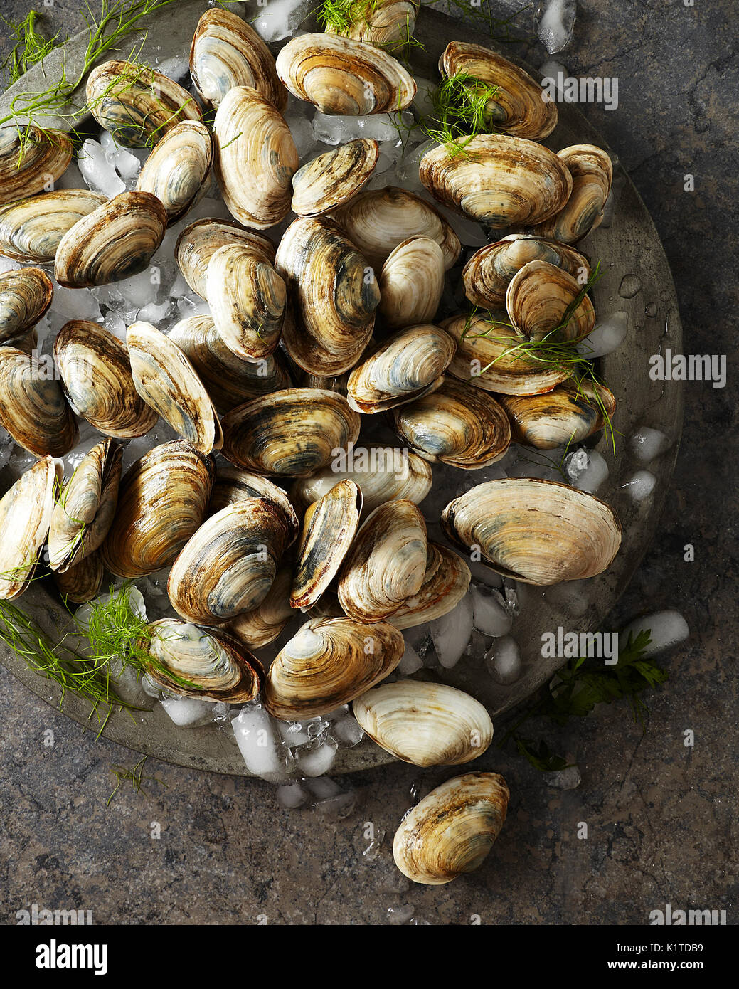 Raw Clams