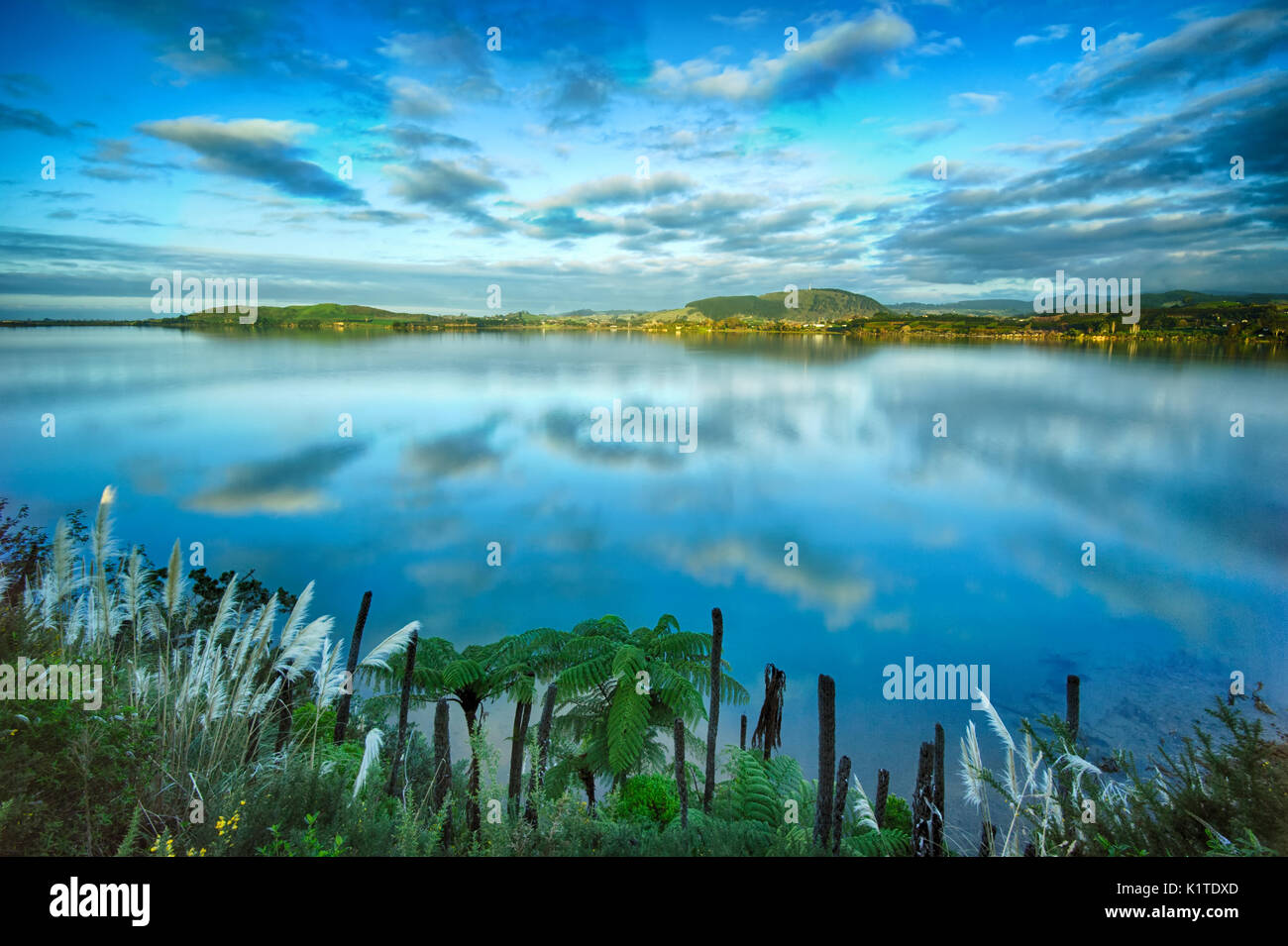 Tauranga new zealand hi-res stock photography and images - Alamy