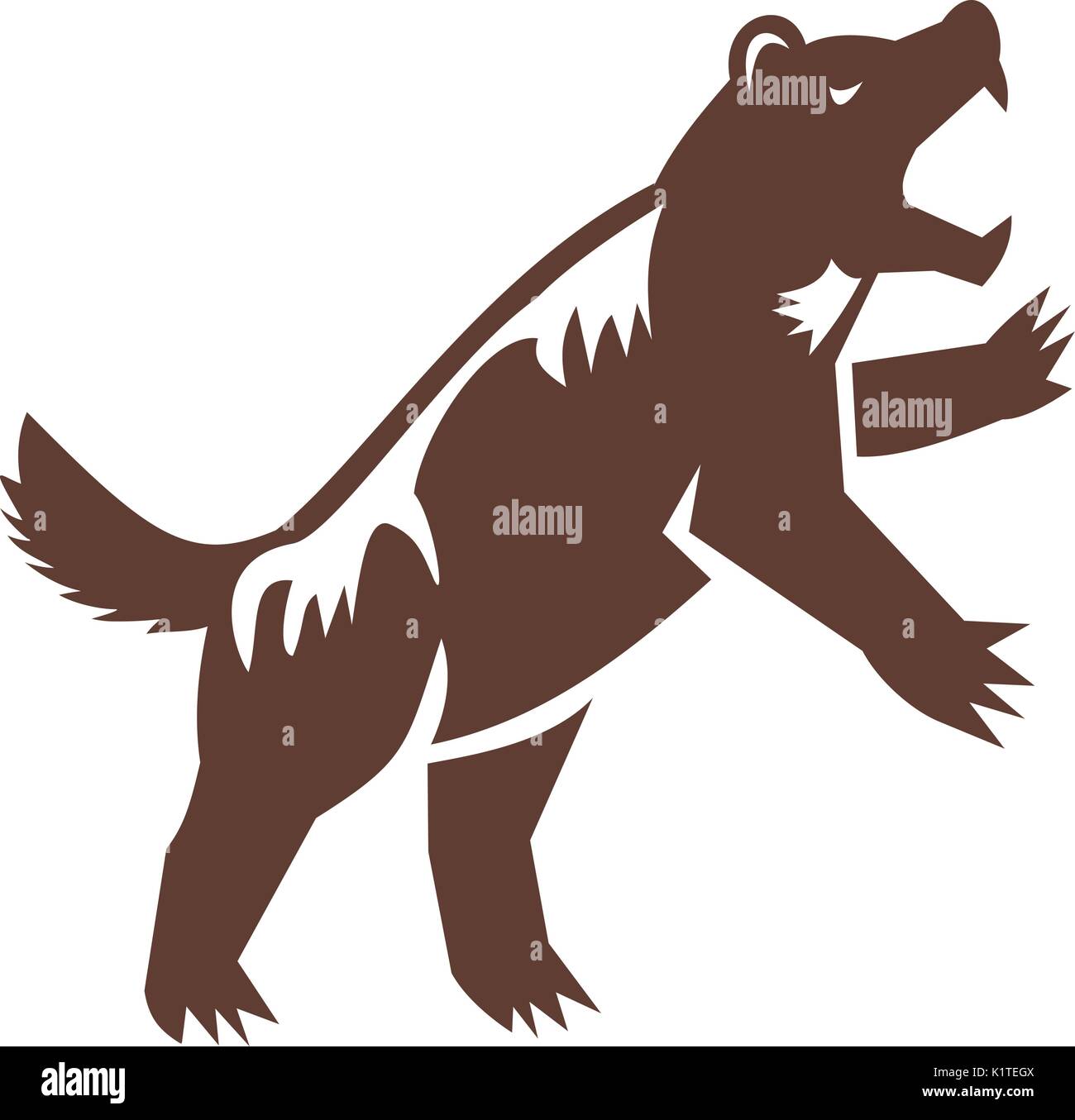 Illustration of a wolverine, Gulo gulo, glutton, carcajou, skunk bear ...