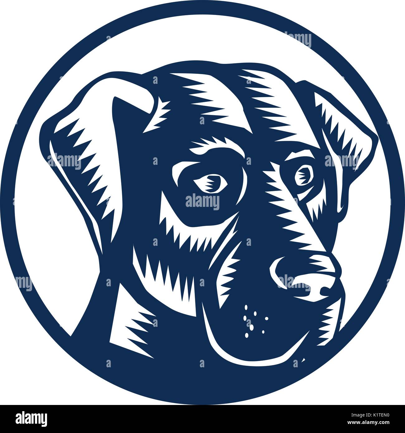 Illustration of a Black Labrador dog Head front view set inside Circle ...