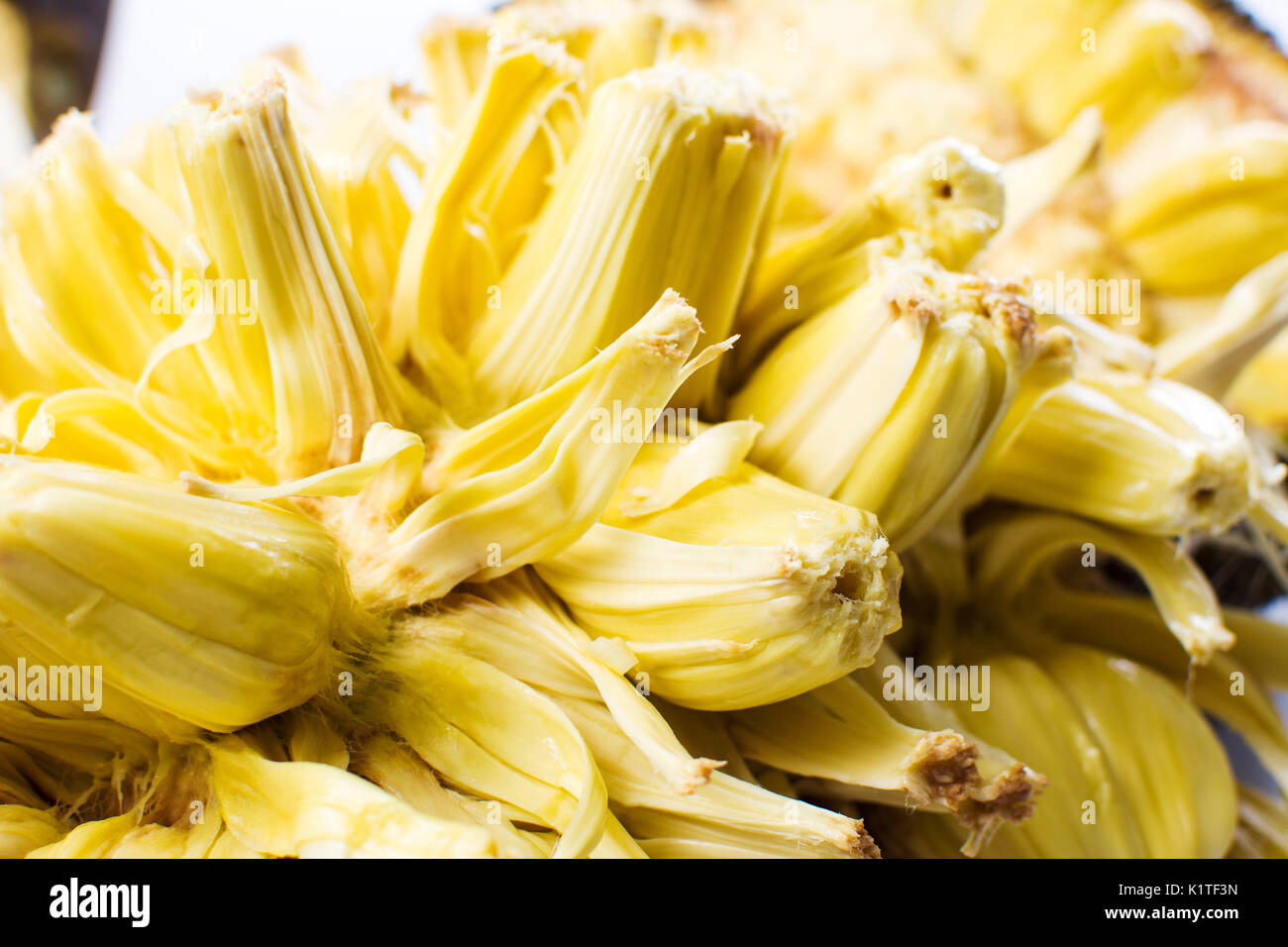 Open jackfruit close up texture. Tropical fruit Stock Photo - Alamy