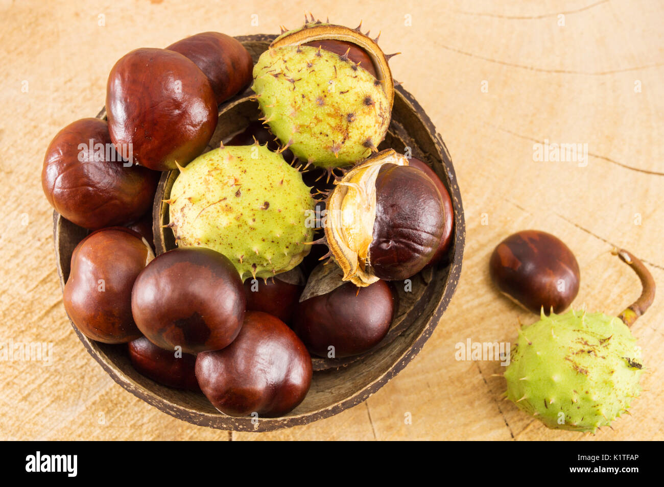 Wild chestnuts with shells in coconut natural bowl Stock Photo - Alamy