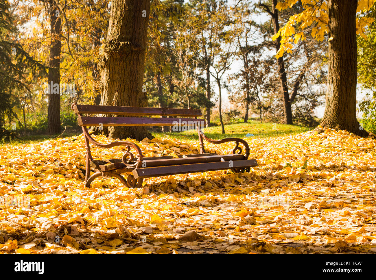 Empty bench nature hi-res stock photography and images - Alamy