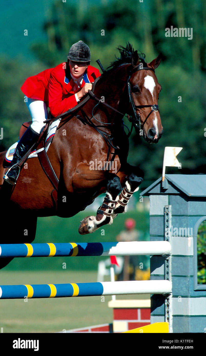 CSI Monterrey October 1999, Alison Firestone (USA) riding Crocodile Dandy Stock Photo - Alamy