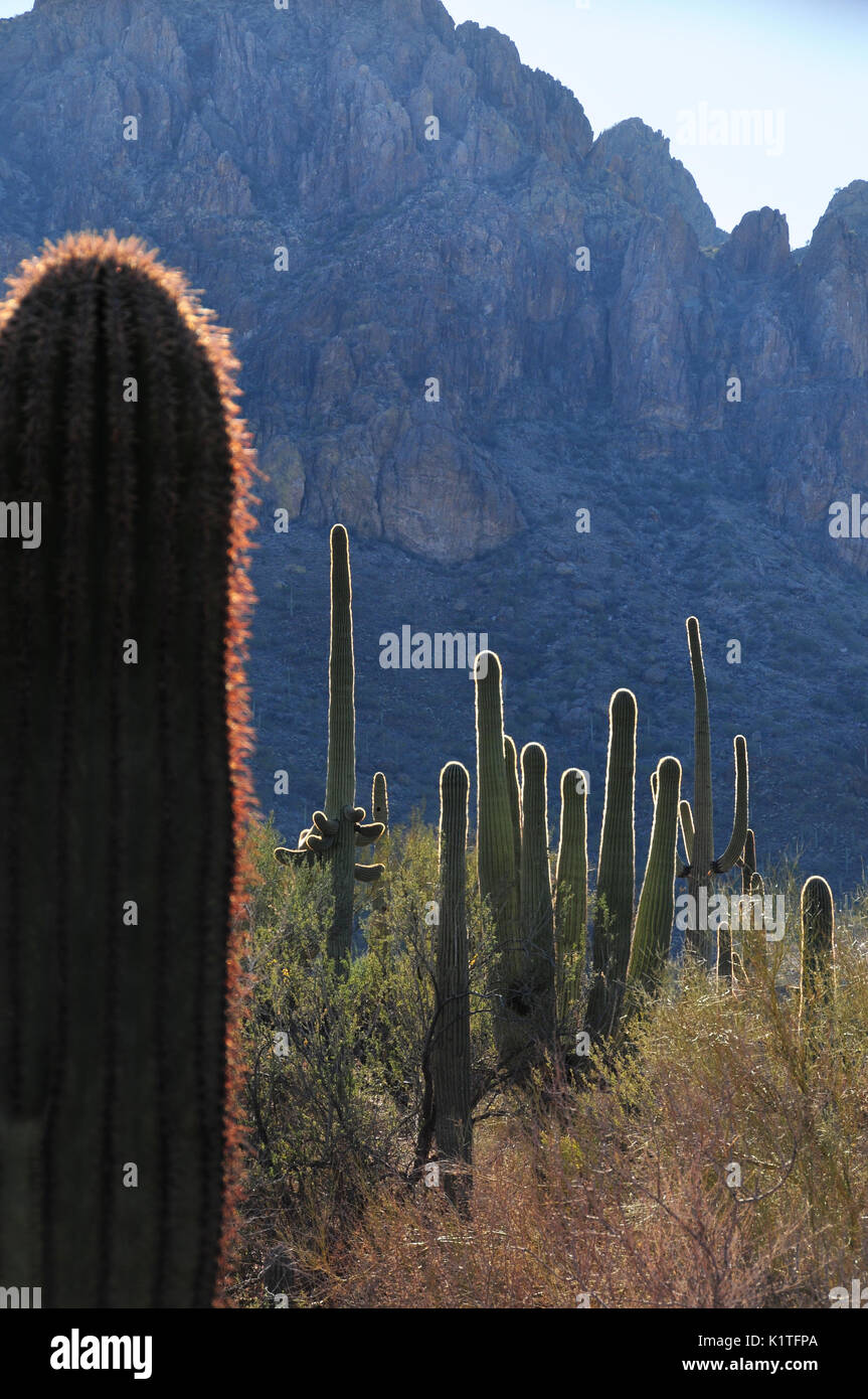 Eloy arizona hi-res stock photography and images - Alamy