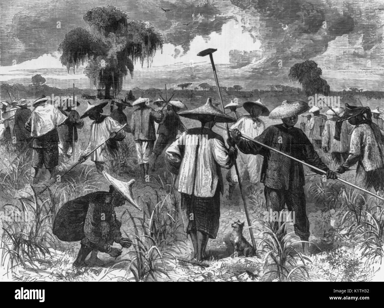 Chinamen High Resolution Stock Photography and Images - Alamy