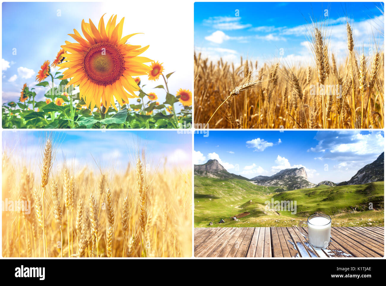 healthy food concept. set. high resolution Stock Photo - Alamy